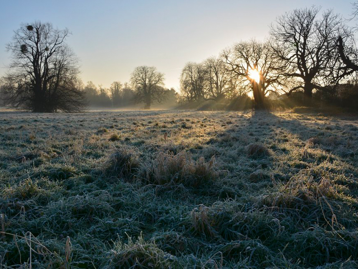 Histon and Impington Green Spaces preserving local habitats
